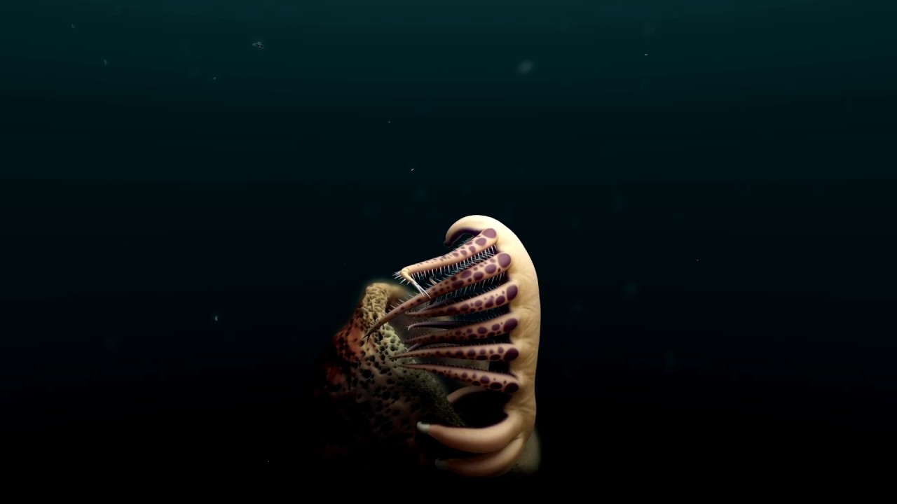 Cientistas “filmam” monstro com 500 milhões de anos na hora da caça ...